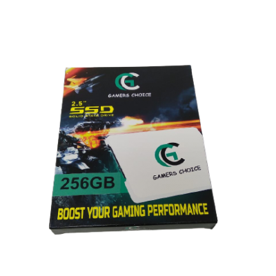 GAMER'S CHOICE SSD 256 GB